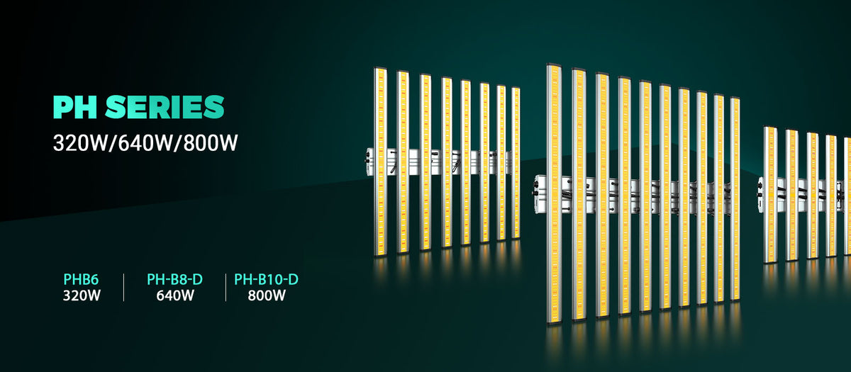 PHLIZON Australia Store| LED Grow Light for Indoor Plants – Phlizon AU ...